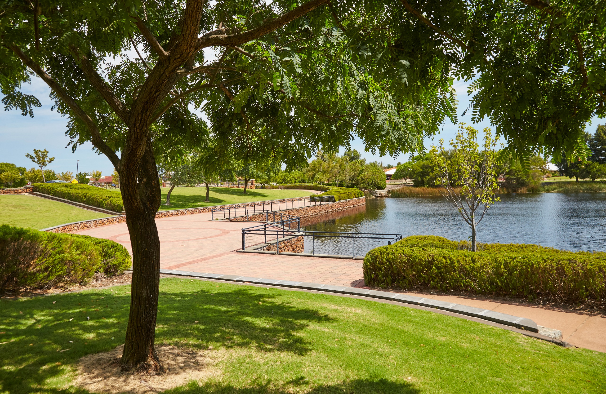 Draft Tree Protection and Management Policy | Swan Engage